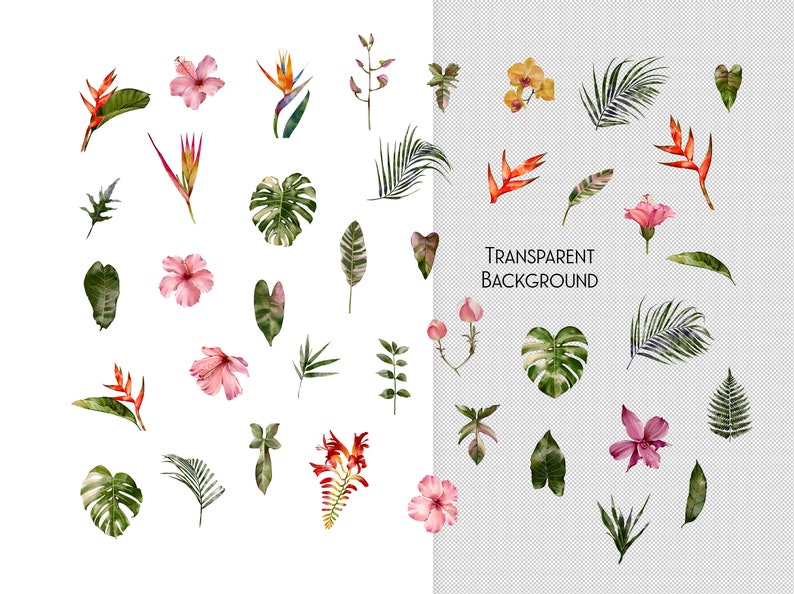 Tropical Watercolor Clipart: Summer Floral PNG Set (digital Download ...