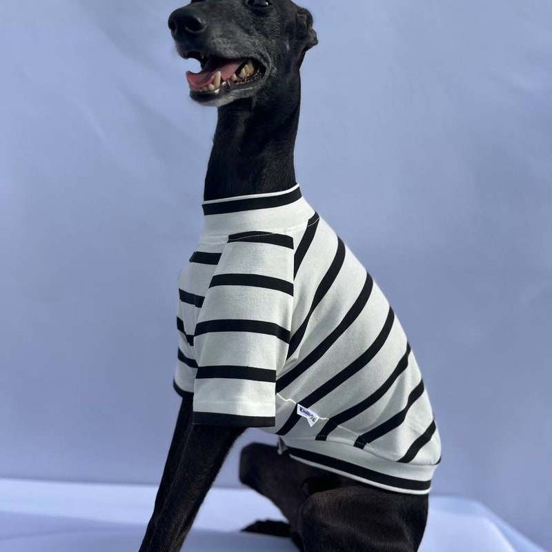 Greyhound T Shirt - Etsy