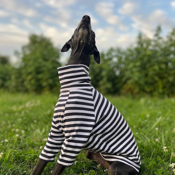 Italian Greyhound Clothing - Etsy