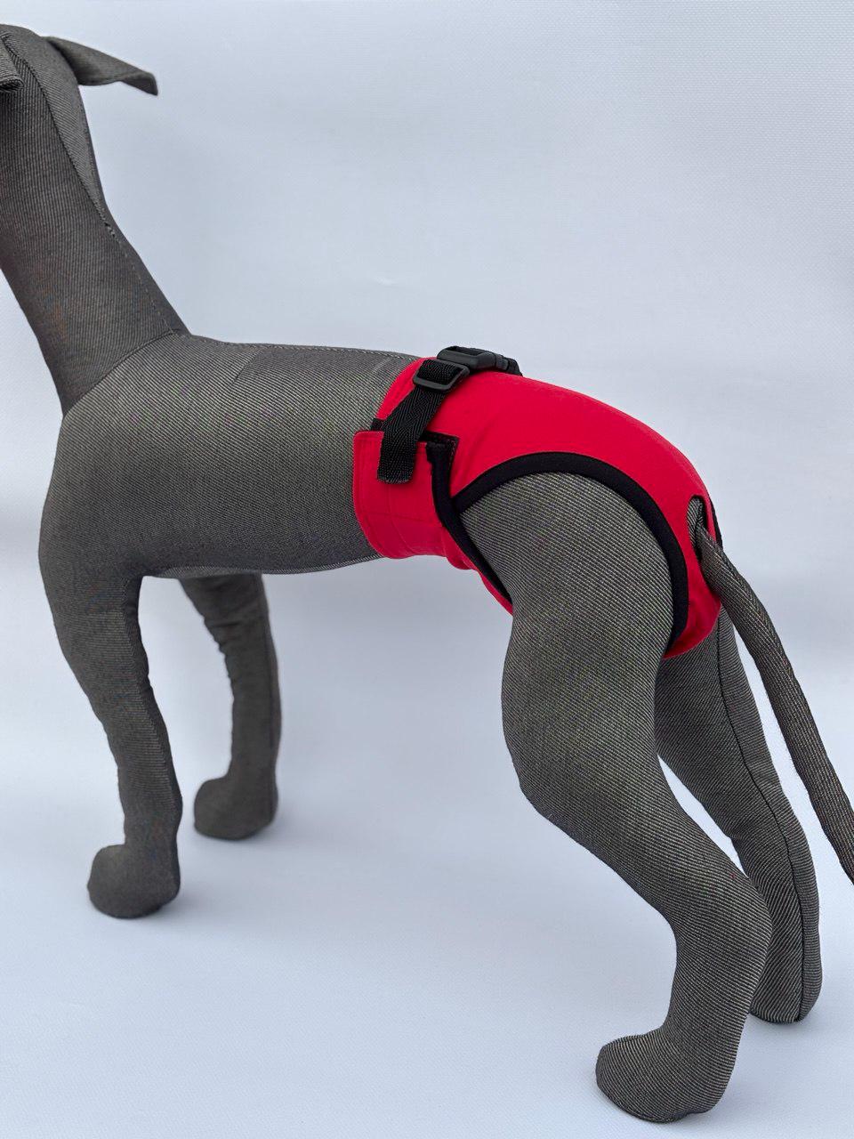 What Size Diaper Can I Use For My Doberman