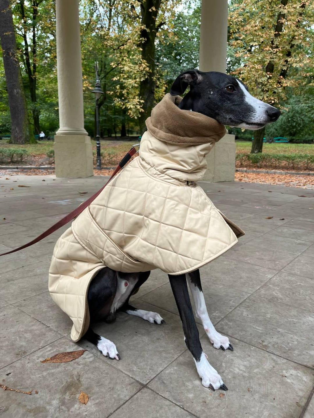 Beige Winter Coat/ Warm Coat for Whippet or Greyhound - Etsy