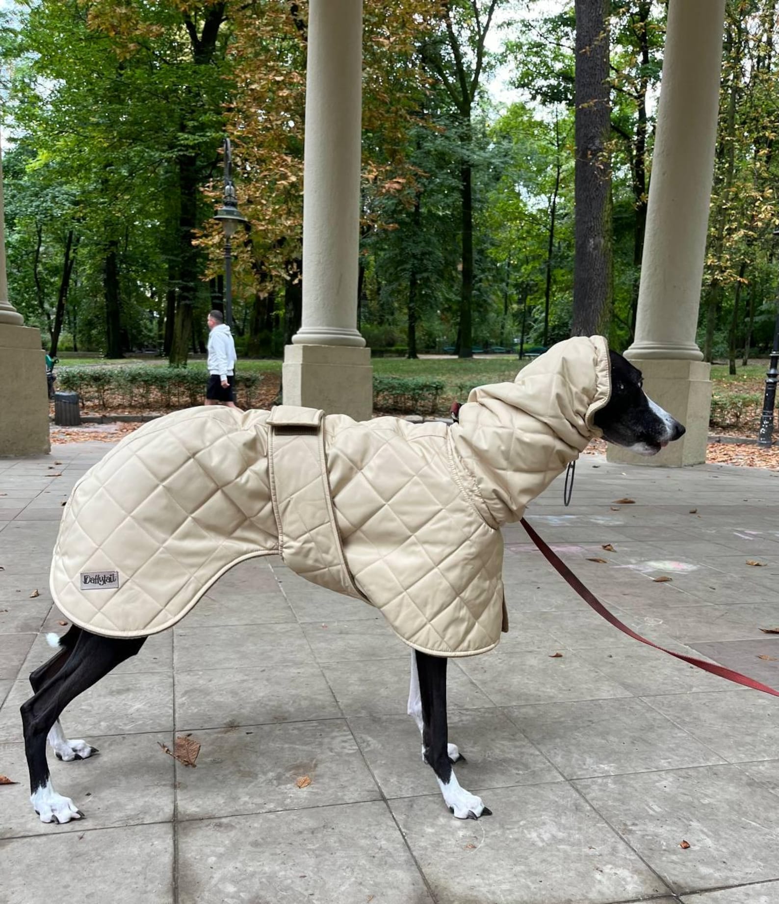 Beige Winter Coat/ Warm Coat for Whippet or Greyhound - Etsy