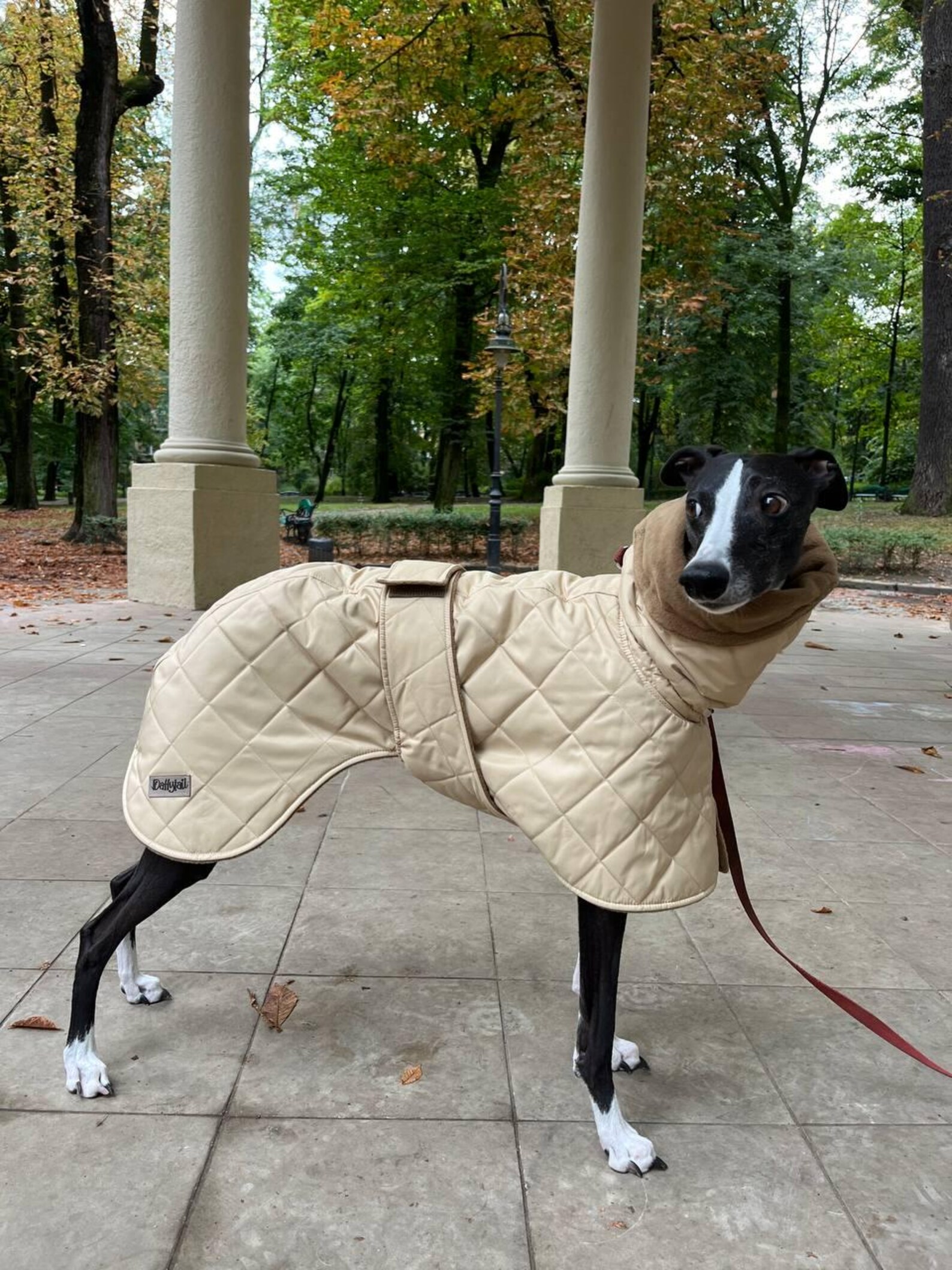 Beige Winter Coat/ Warm Coat for Whippet or Greyhound - Etsy