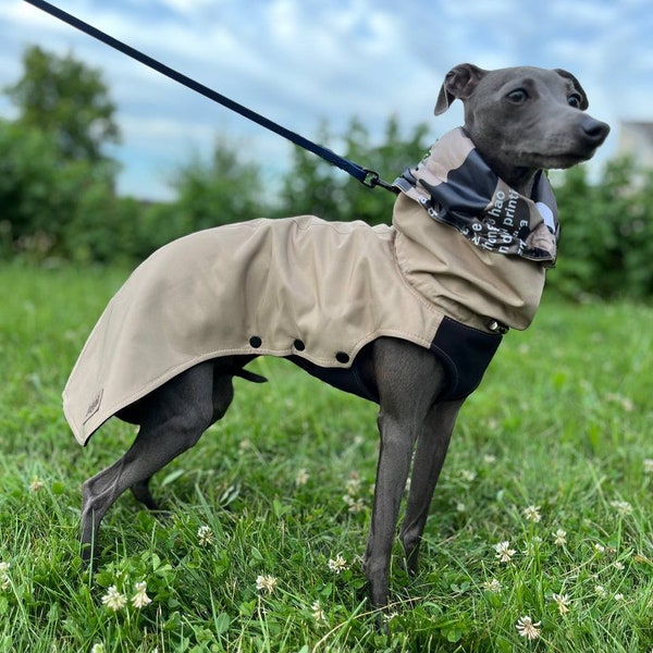 Greyhound Coats - Etsy
