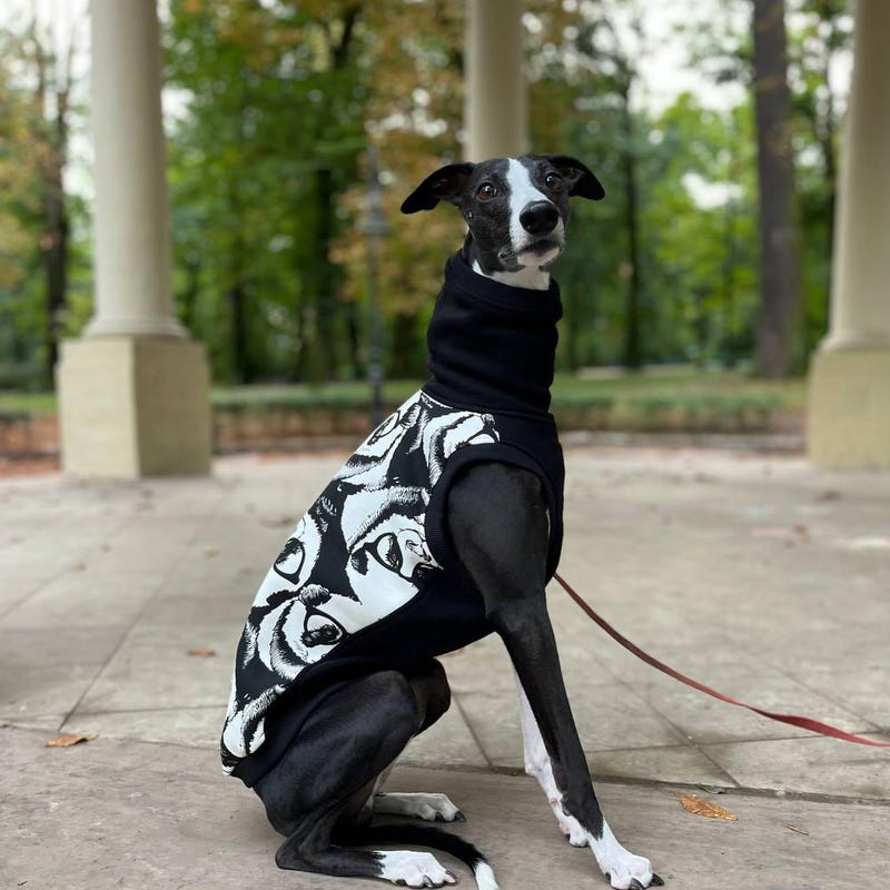 Whippet Clothing - Etsy