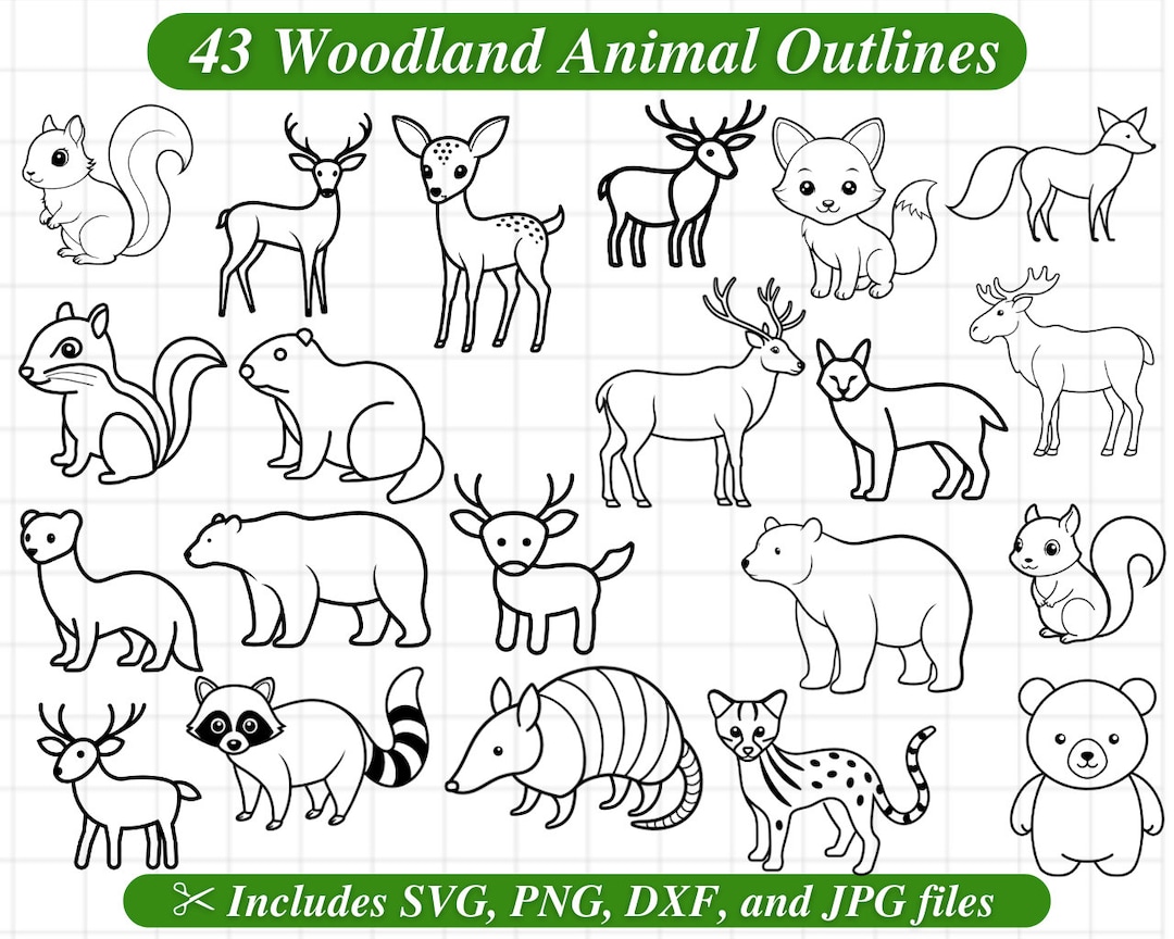 Woodland Animal Outlines, Coloring SVG Clipart, Kid Party Coloring ...