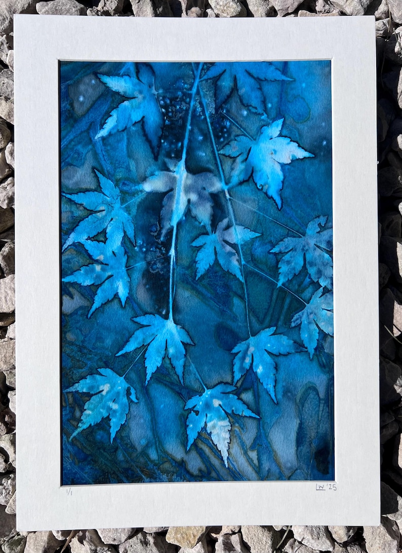 Original Botanical Cyanotype – Japanese Acer (maple) Leaves Design (A4 ...