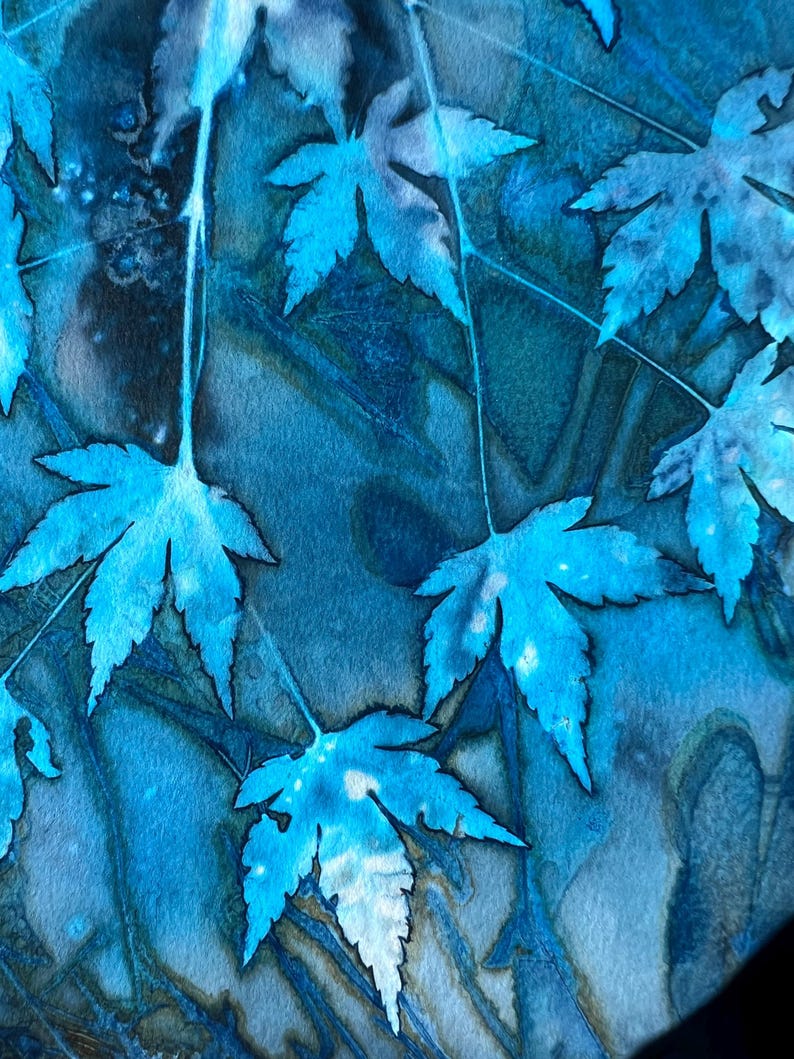 Original Botanical Cyanotype – Japanese Acer (maple) Leaves Design (A4 ...