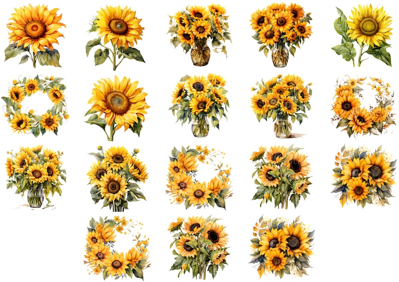 Watercolor Sunflower Clipart Summer Clip Art Sunflower Art High Quality ...