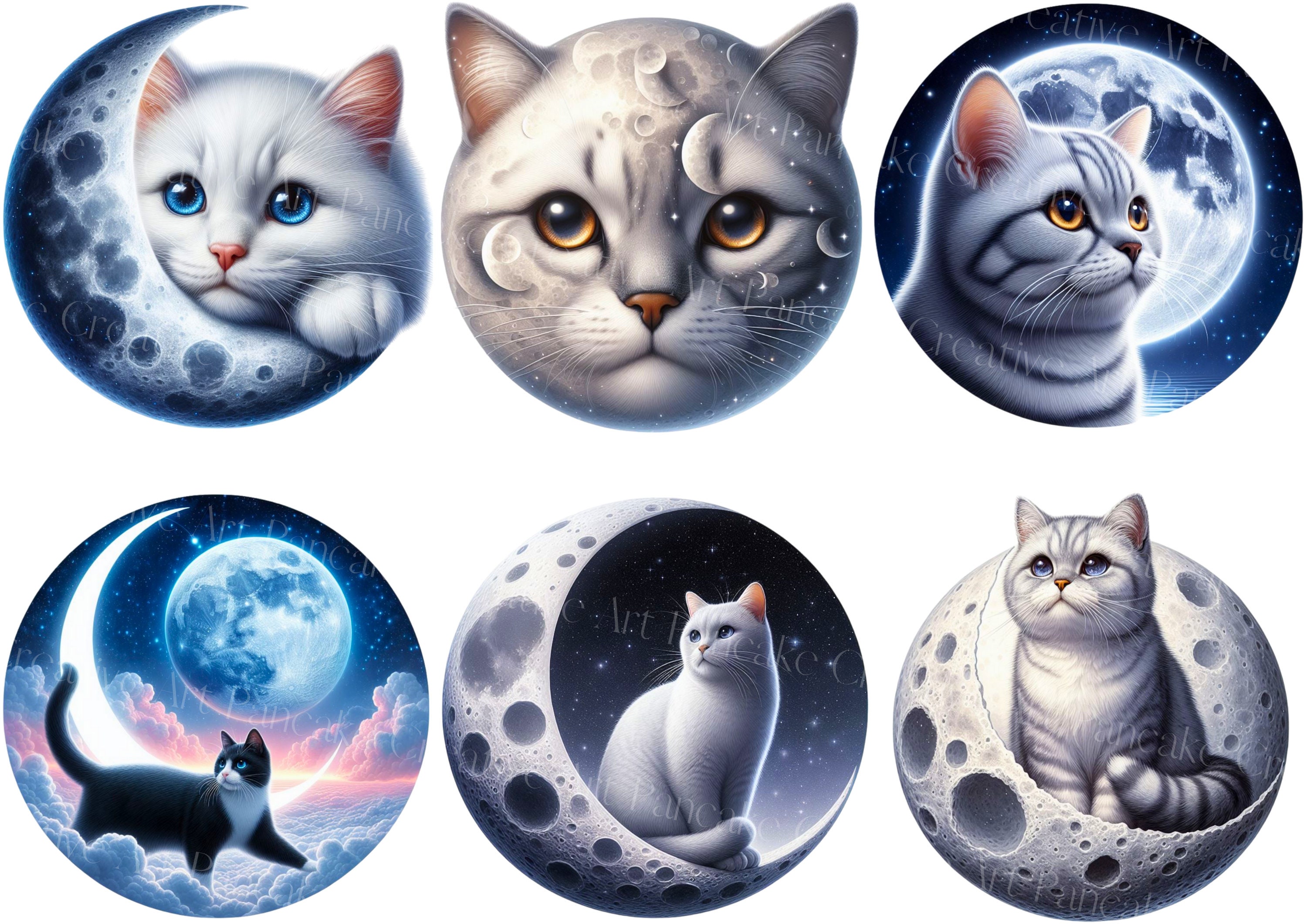 Moon Cat Clipart Png Sublimation Designs Crescent Moon Cats Cute Cat ...