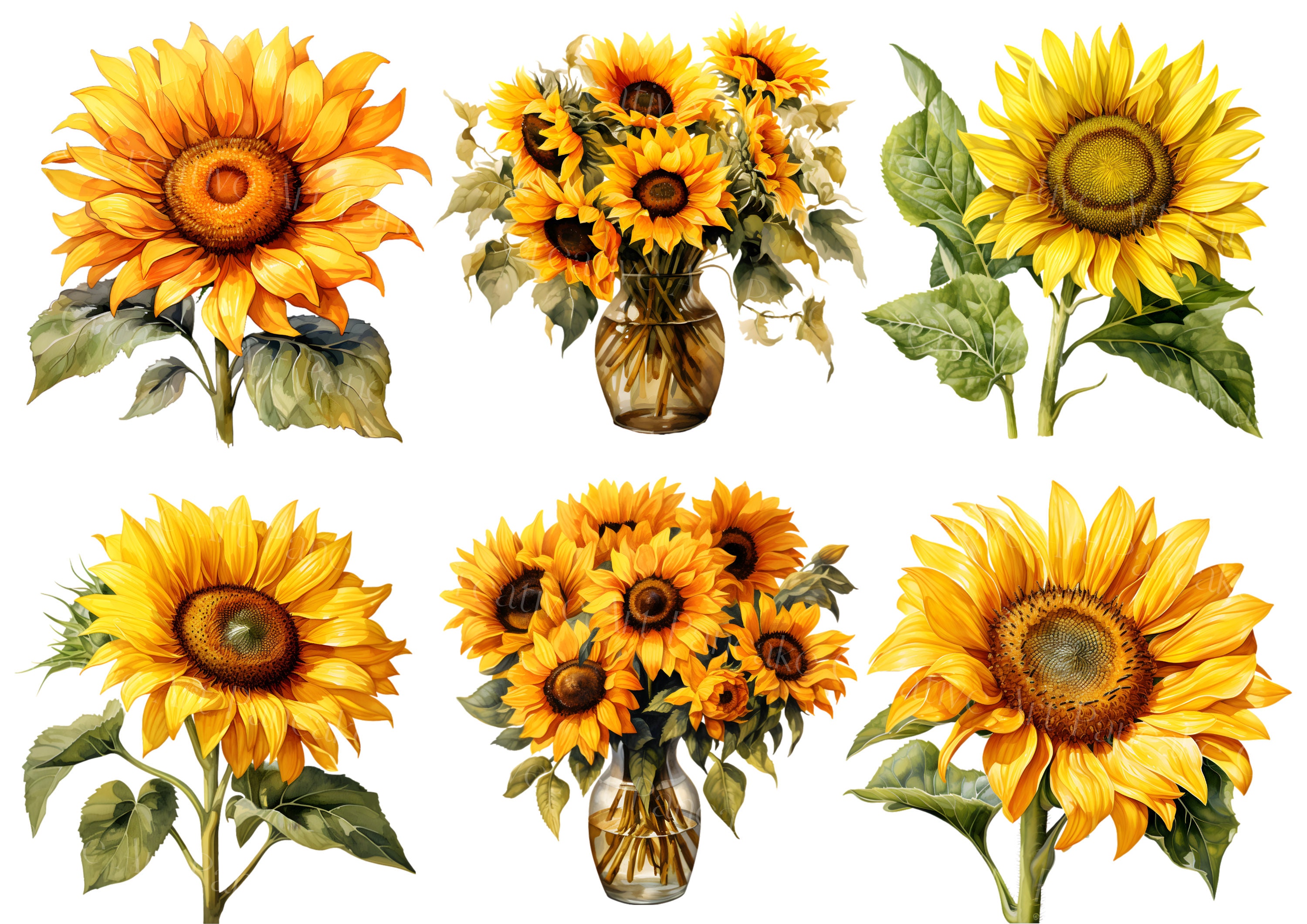 Watercolor Sunflower Clipart Summer Clip Art Sunflower Art High Quality ...