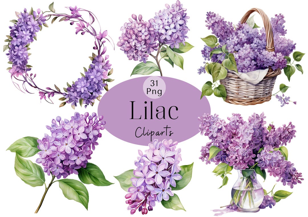 Watercolor Lilac Clipart Bundle: Spring Floral Graphics (PNG) - Etsy