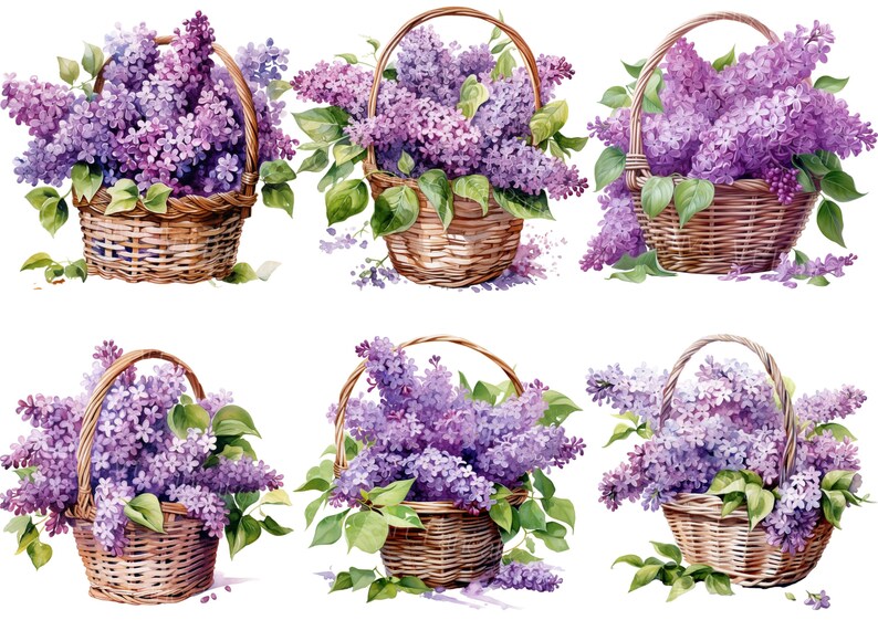 Watercolor Lilac Clipart Bundle: Spring Floral Graphics (PNG) - Etsy