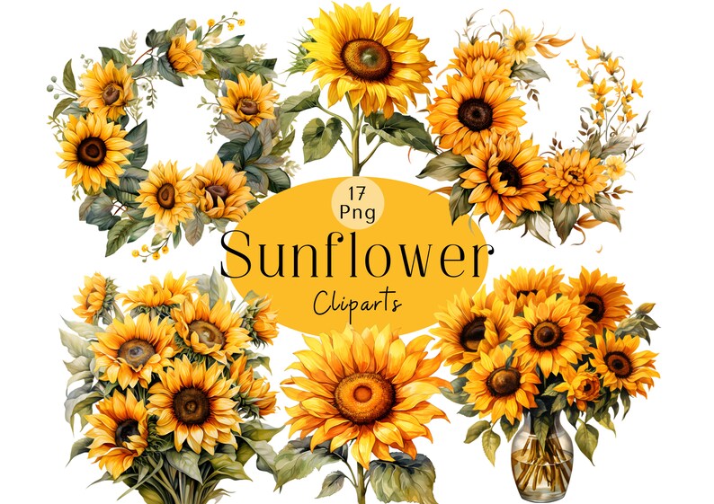 Watercolor Sunflower Clipart: Summer Floral PNG Bundle (digital ...