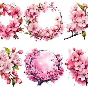 Watercolor Sakura Cherry Blossom Png Spring Floral Png Bundle Japanese ...