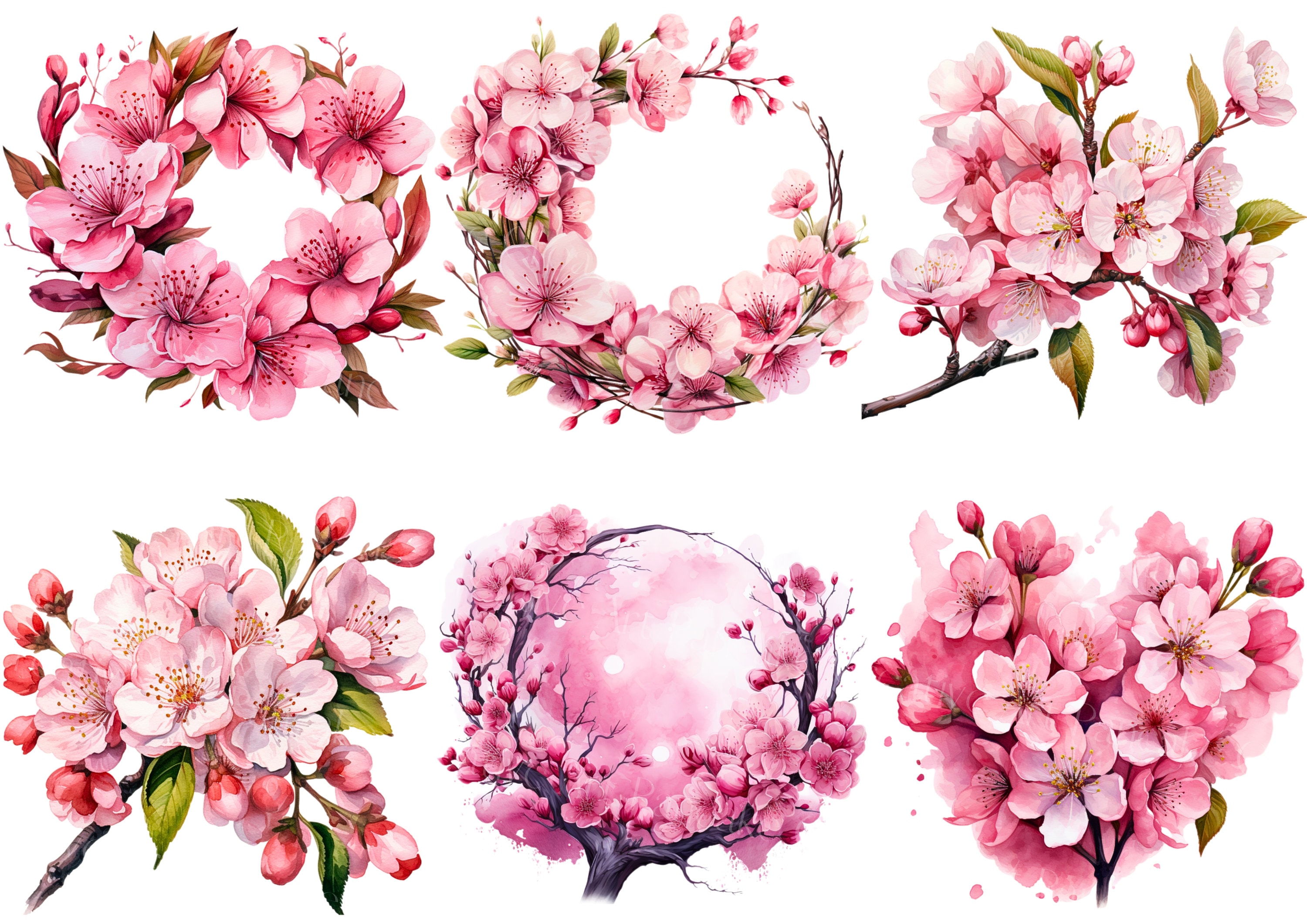 Watercolor Sakura Cherry Blossom Png Spring Floral Png Bundle Japanese ...