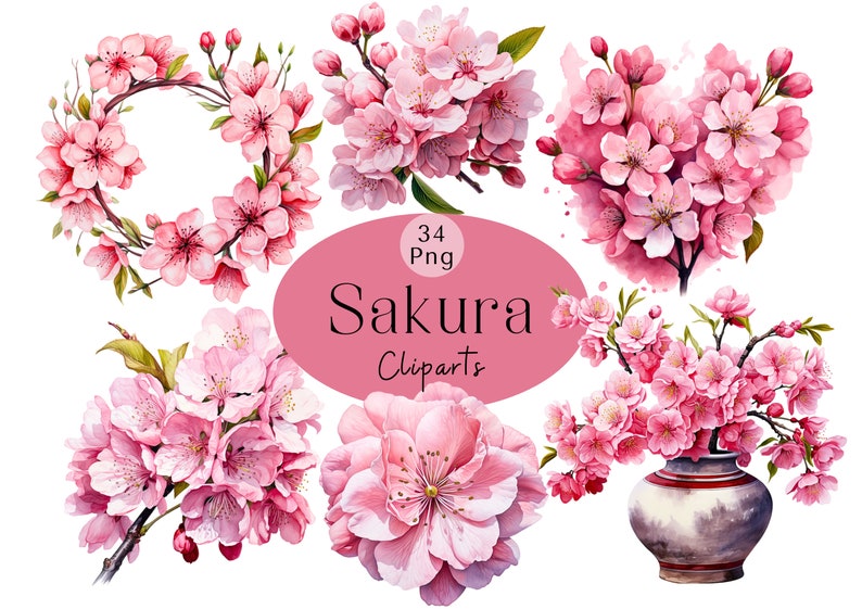 Watercolor Sakura Cherry Blossom Png Spring Floral Png Bundle Japanese ...