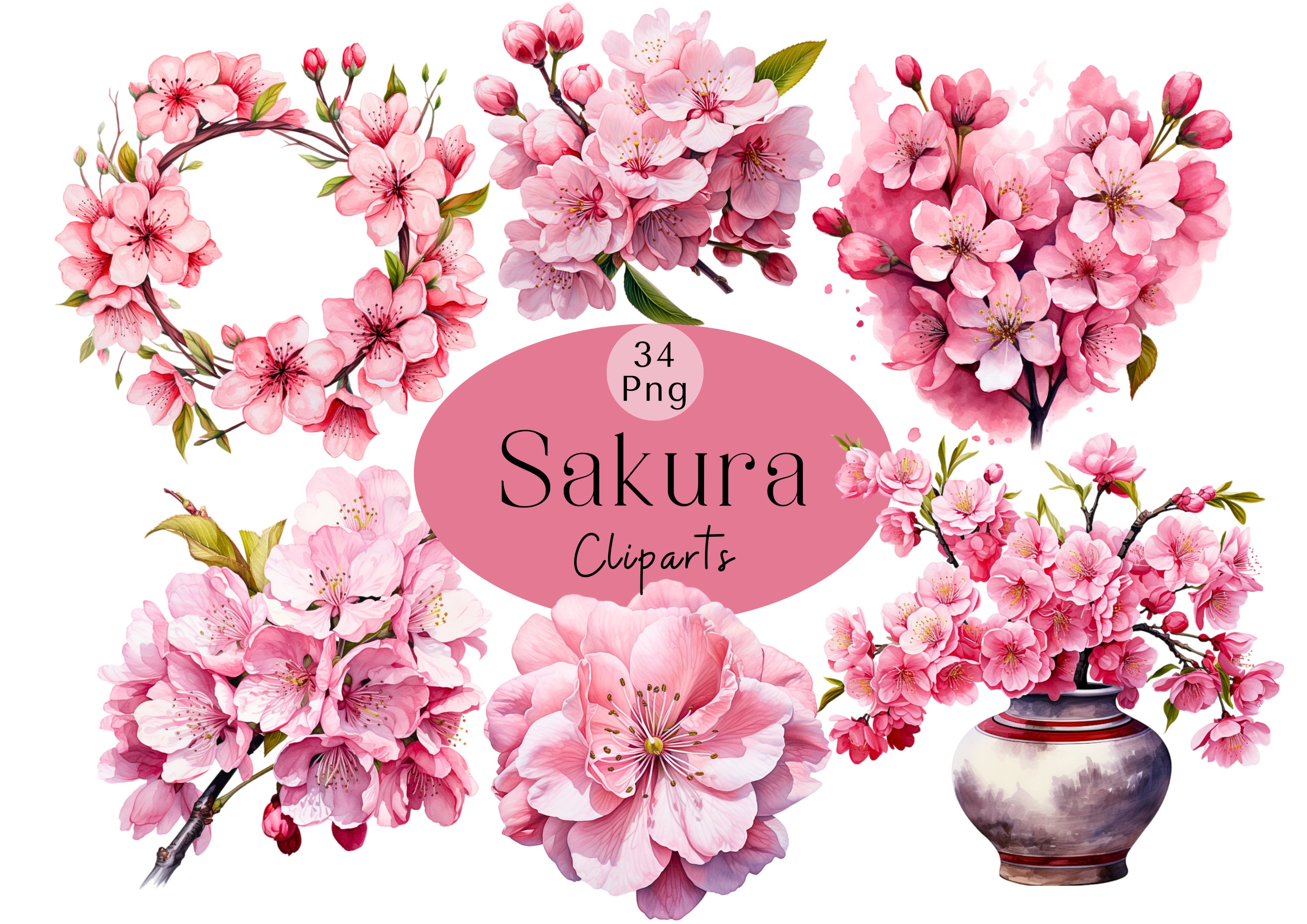 Watercolor Sakura Cherry Blossom Png Spring Floral Png Bundle Japanese ...