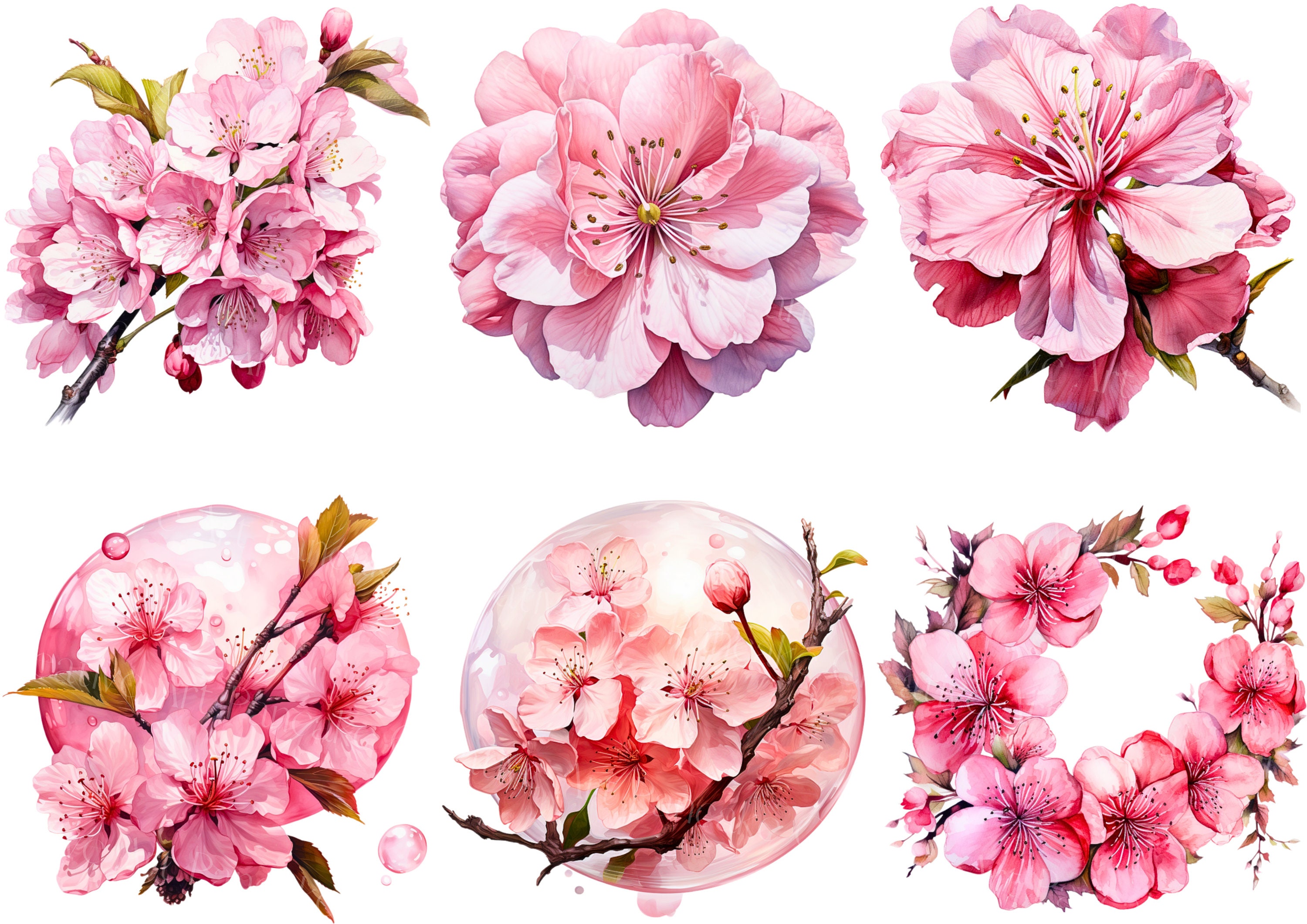 Watercolor Sakura Cherry Blossom Png Spring Floral Png Bundle Japanese ...