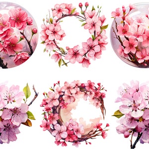 Watercolor Sakura Cherry Blossom Png Spring Floral Png Bundle Japanese ...