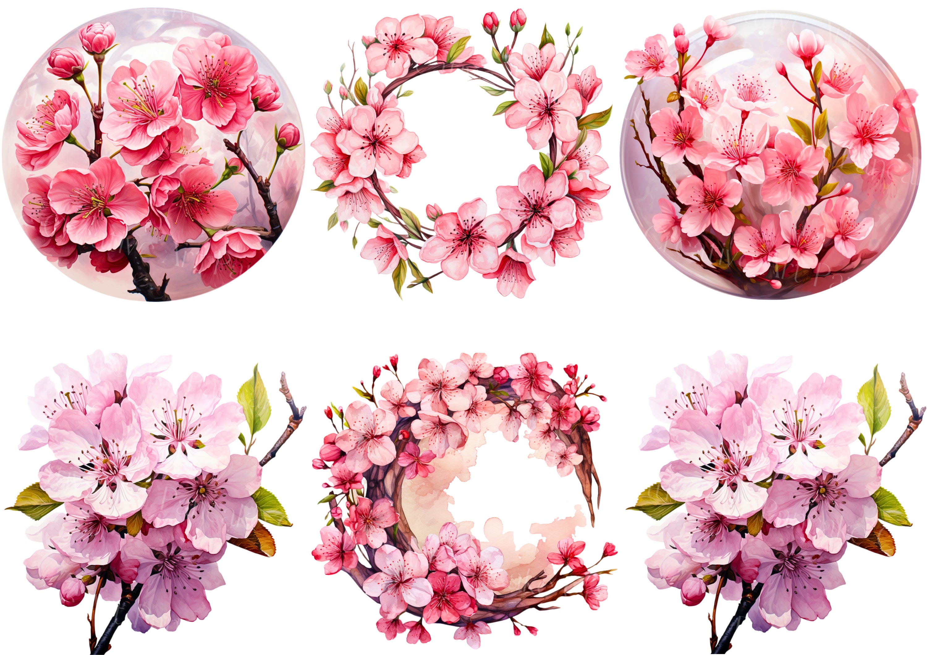 Watercolor Sakura Cherry Blossom Png Spring Floral Png Bundle Japanese ...