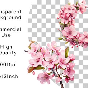 Watercolor Sakura Cherry Blossom Png Spring Floral Png Bundle Japanese ...