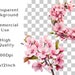 Watercolor Sakura Cherry Blossom Png Spring Floral Png Bundle Japanese ...