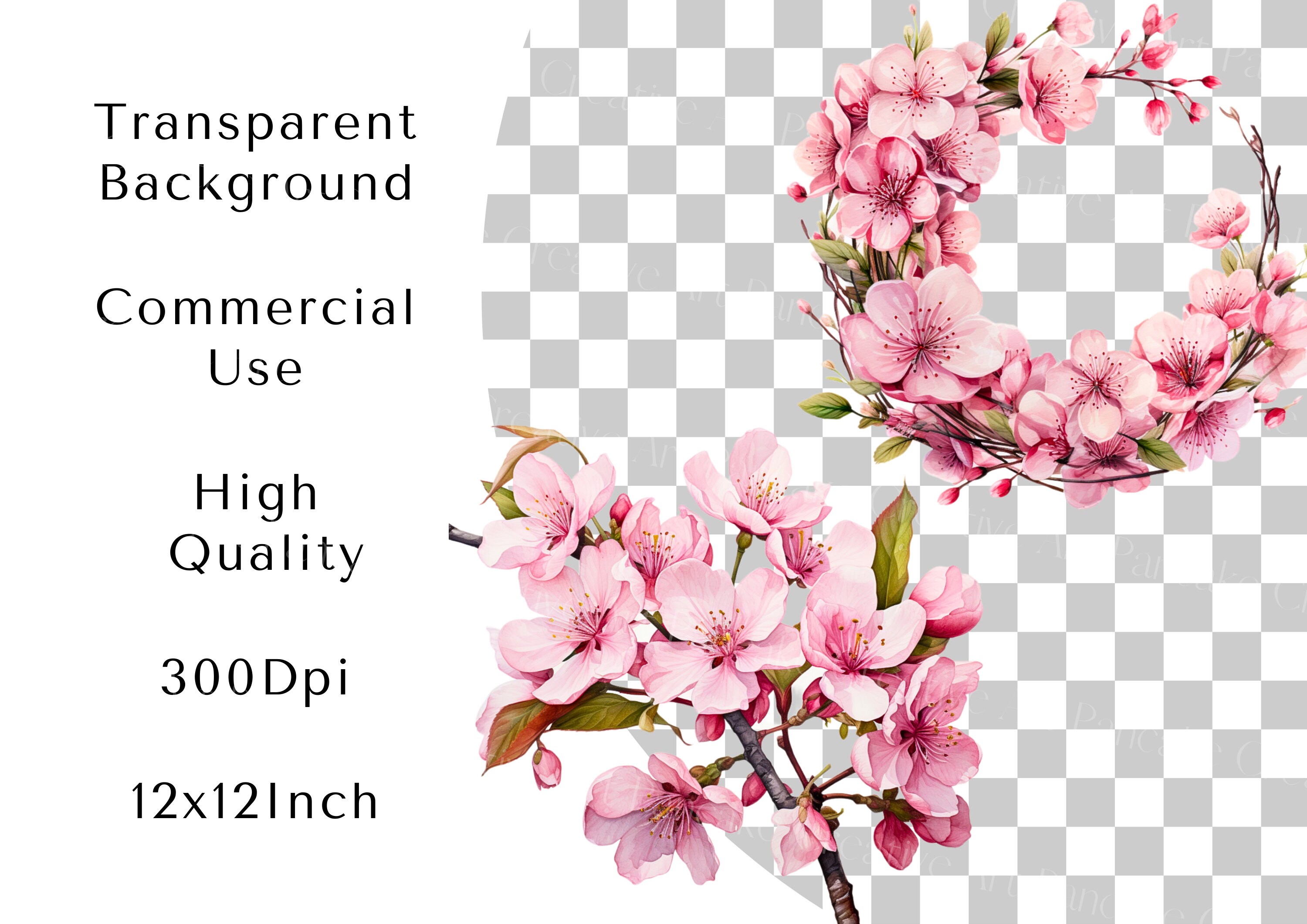 Watercolor Sakura Cherry Blossom Png Spring Floral Png Bundle Japanese ...