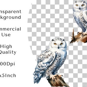 Watercolor Snowy Owl Clipart Bundle: Winter Woodland PNG (commercial ...