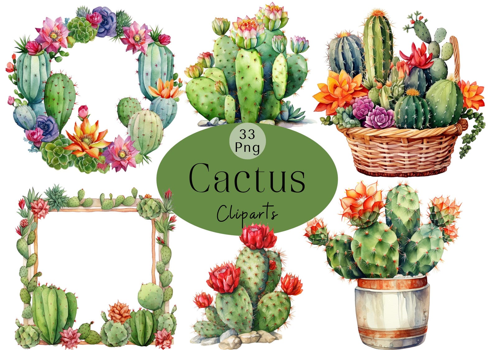 Watercolor Cactus Clipart Bundle: Desert Plant PNG Graphics (33 Files ...