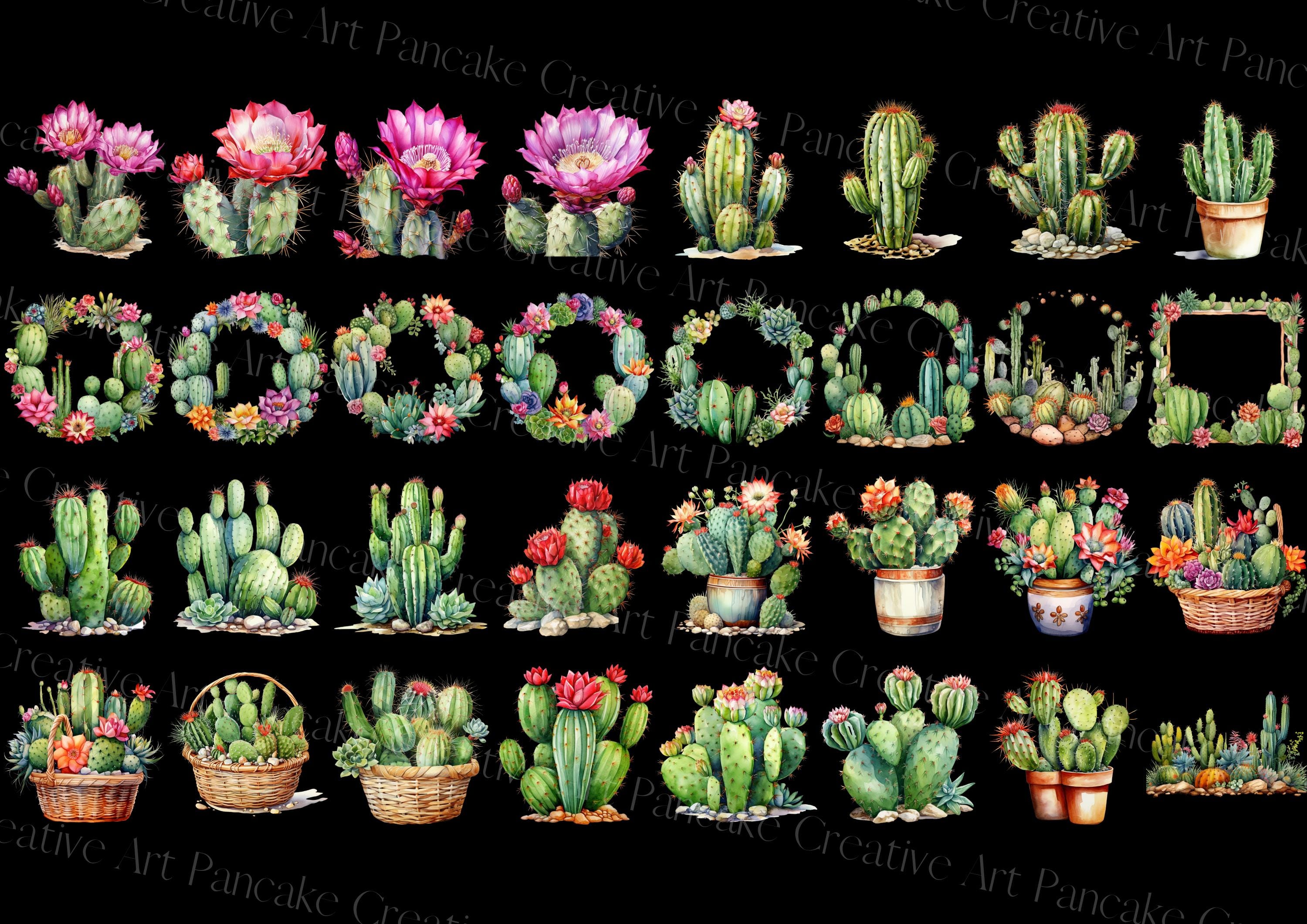 Watercolor Cactus Clipart Bundle Cacti Plants Desert Graphics Greenery ...