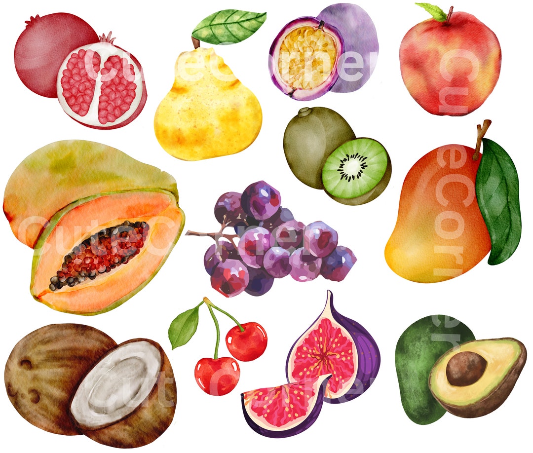 Delicious Fruits Digital Clipart Illustrations Vibrant Watercolours ...