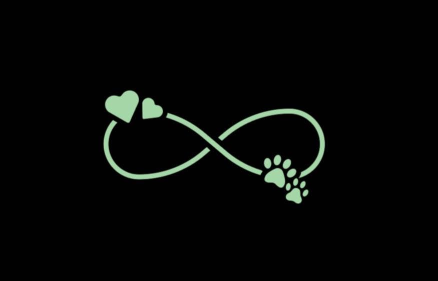 Paw Print Infinity Car Decal - Etsy