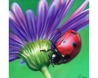 Ladybug Art Print, 5X7 Ladybug Watercolor Art Print, Ladybug Painting ...