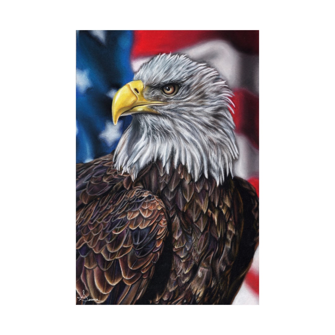 Bald Eagle Art Print - Etsy