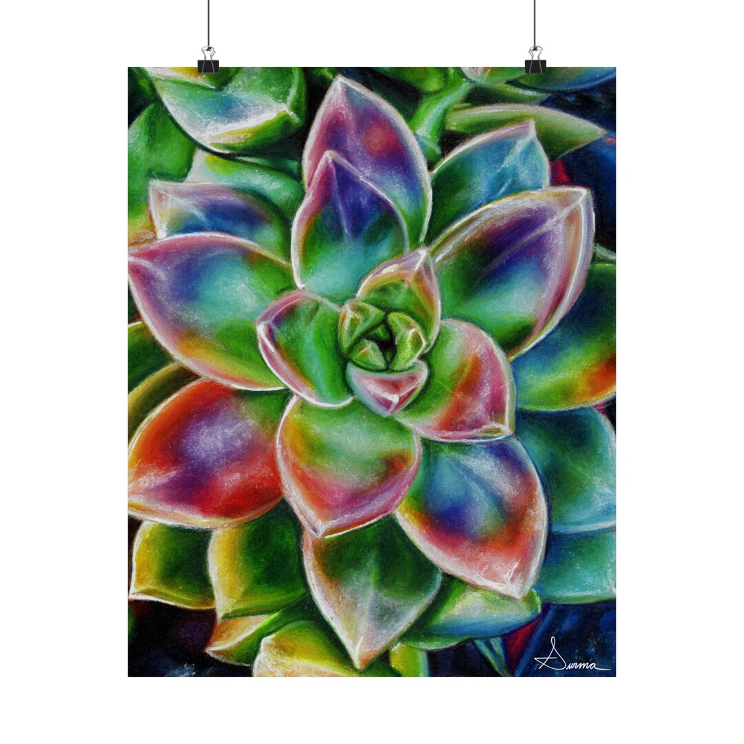 Colorful Succulent Art Print - Etsy