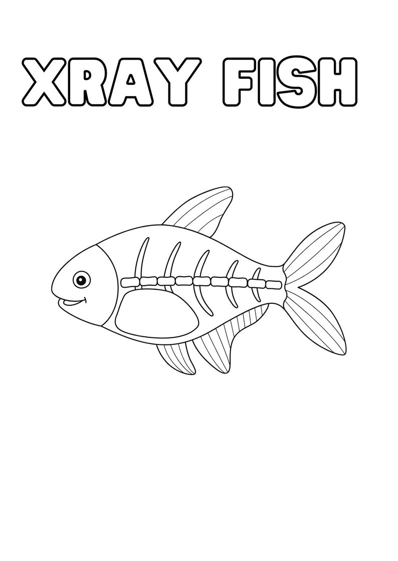 Alphabet A-Z Animal Colouring Book for Children/home Education/early ...