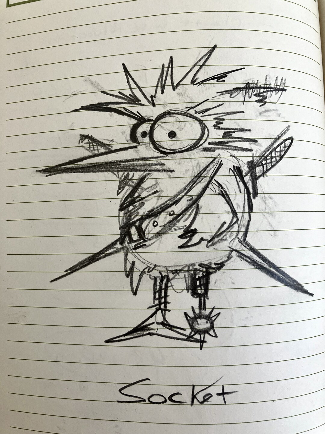 Pirate Chicken Socket Original Sketch 1/1 - Etsy