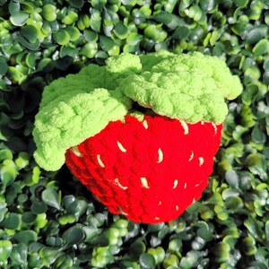 Fae the Strawberry Frog Crochet Pattern - Etsy