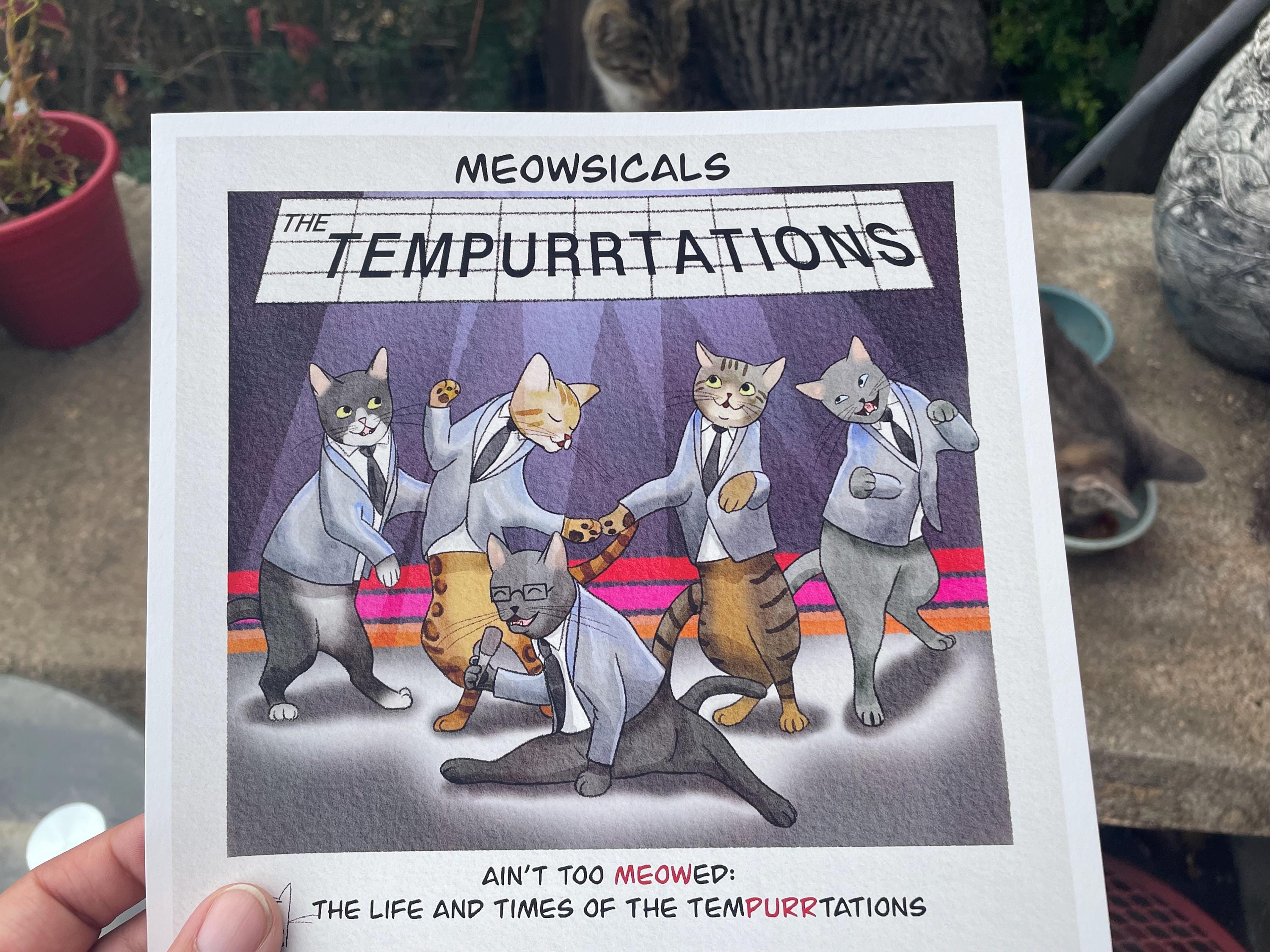 Ain't Too Meowed: the Life and Times of the Tempurrtations (meowsicals ...