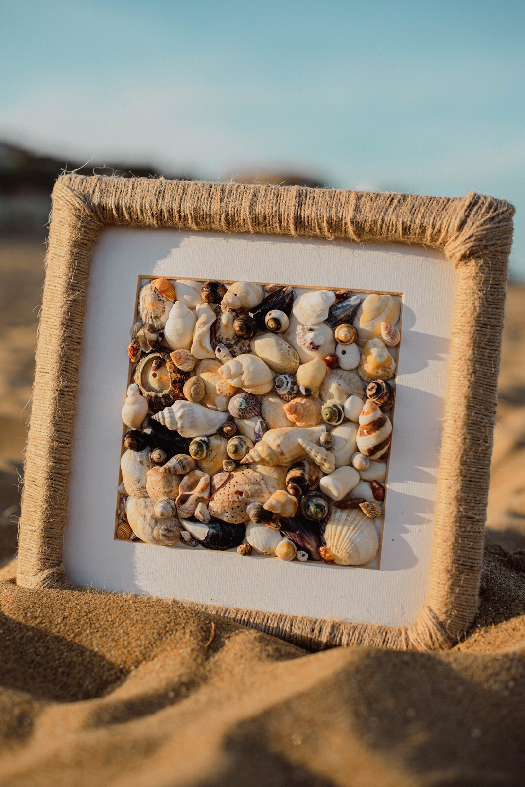 Coastal Shell Art Wall Decor - Handmade Shell Picture - Beach Theme ...