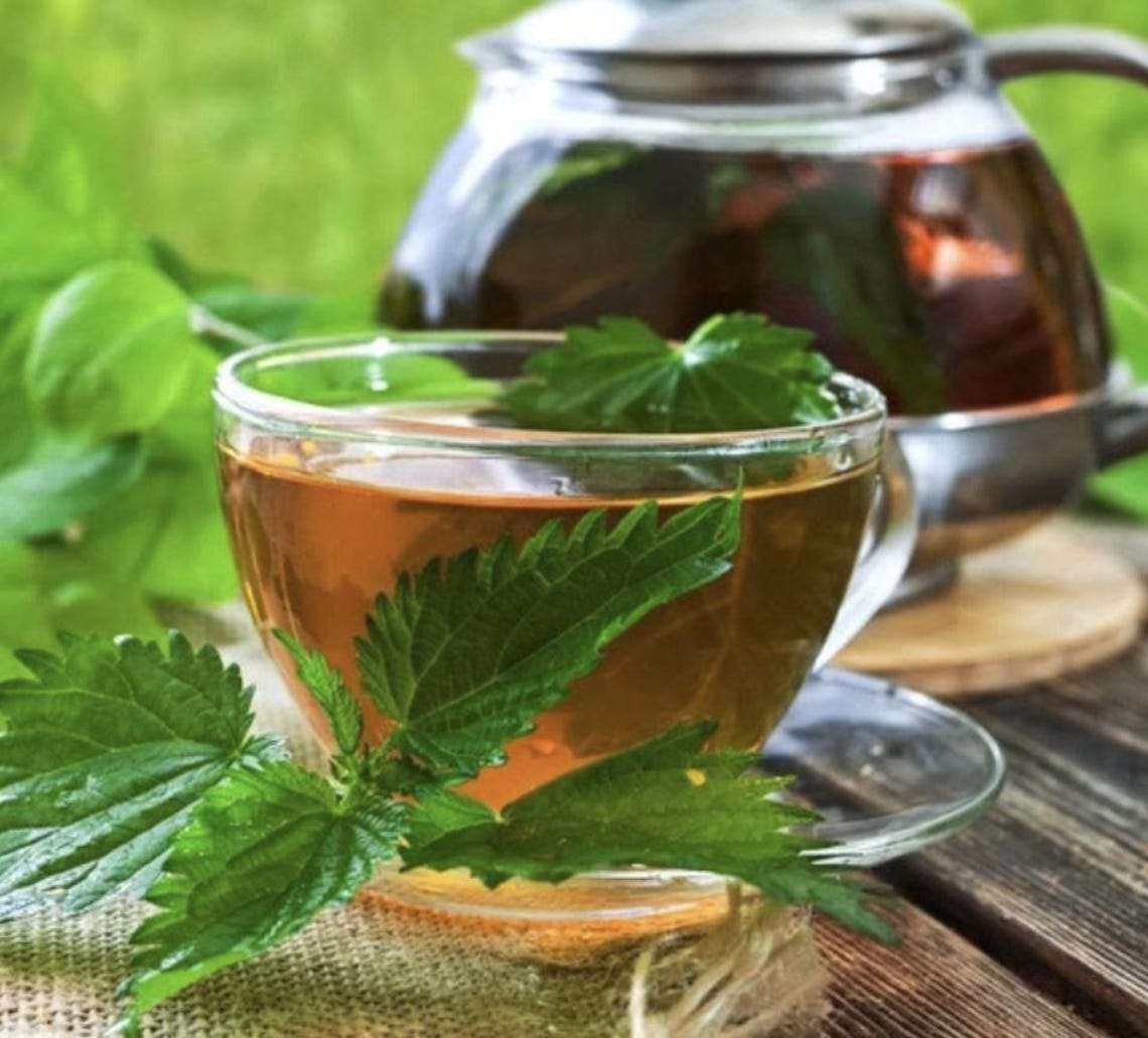 Nettle Leaf, Cut & Sifted, urtica Dioica - Etsy