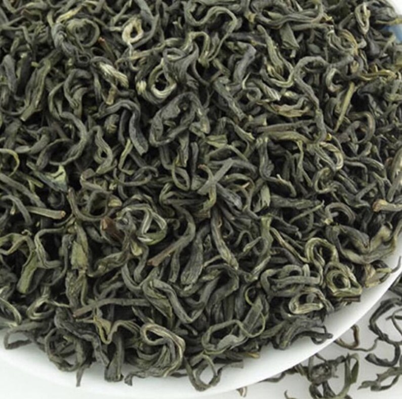 Green Tea, camellia Sinensis - Etsy