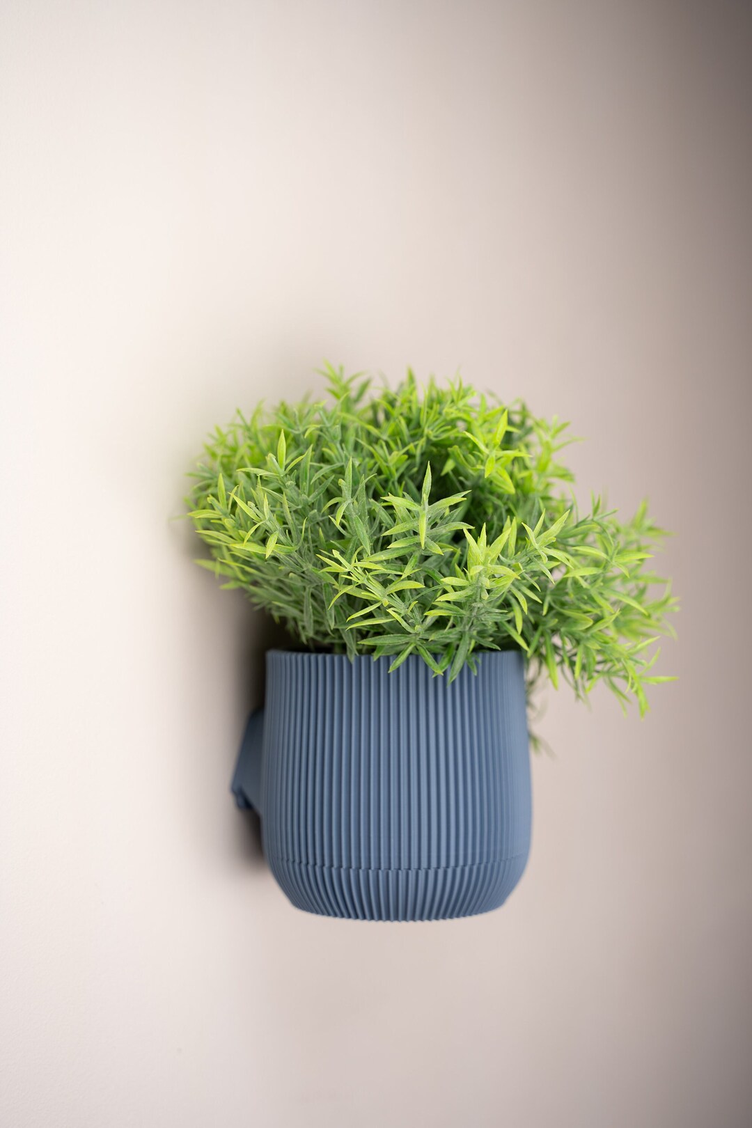 Design Wall Flower Pot With Integrated & Removable Saucer | Sankaku ...