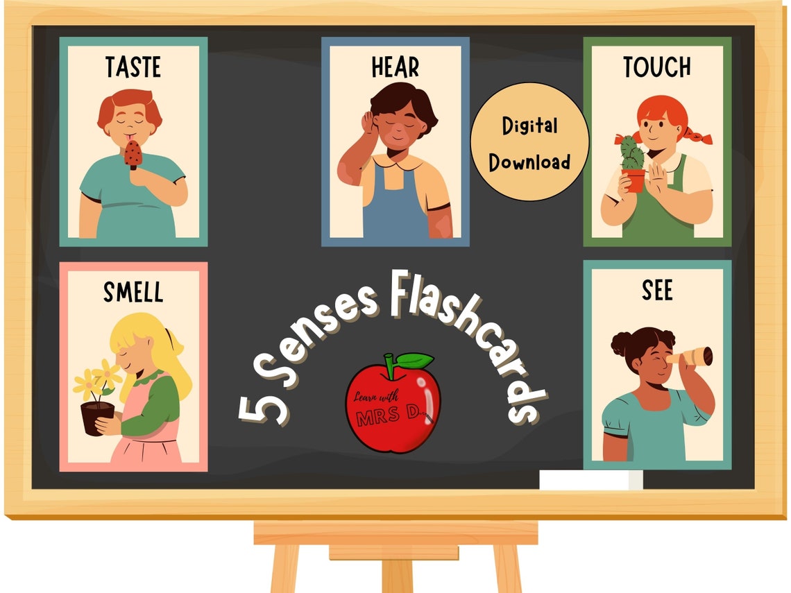 5 Senses Posters/ Flashcards Digital Download - Etsy UK