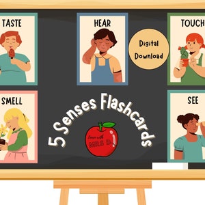 5 Senses Posters/ Flashcards Digital Download - Etsy UK