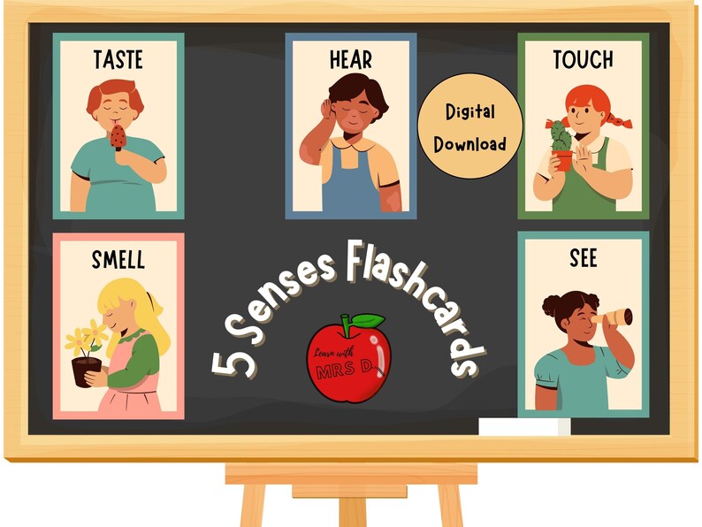 5 Senses Posters/ Flashcards Digital Download - Etsy UK
