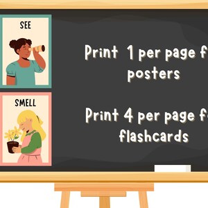 5 Senses Posters/ Flashcards Digital Download - Etsy UK