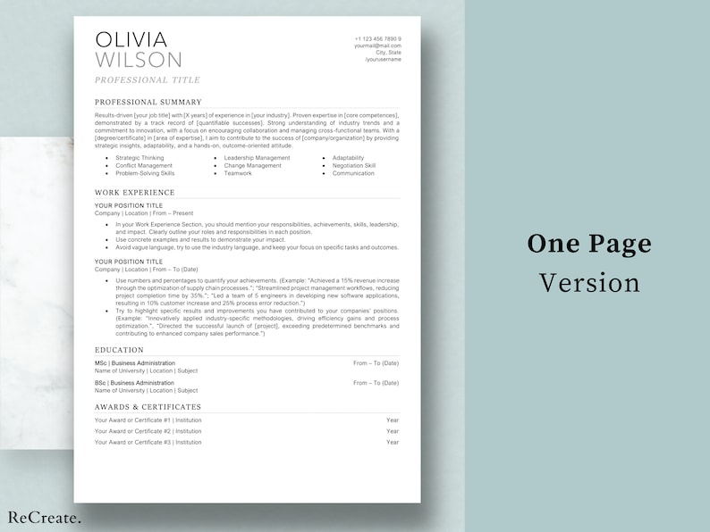 Professional 2025 Resume Template Incl. Cover Letter & Reference ...