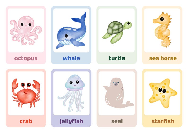 OCEAN ANIMALS Real Images -printable Flash Cards, Nomenclature ...